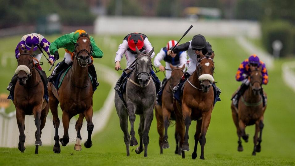 Monday Horse racing Tips: I know what I like with Genesis in Naas 59/1 double